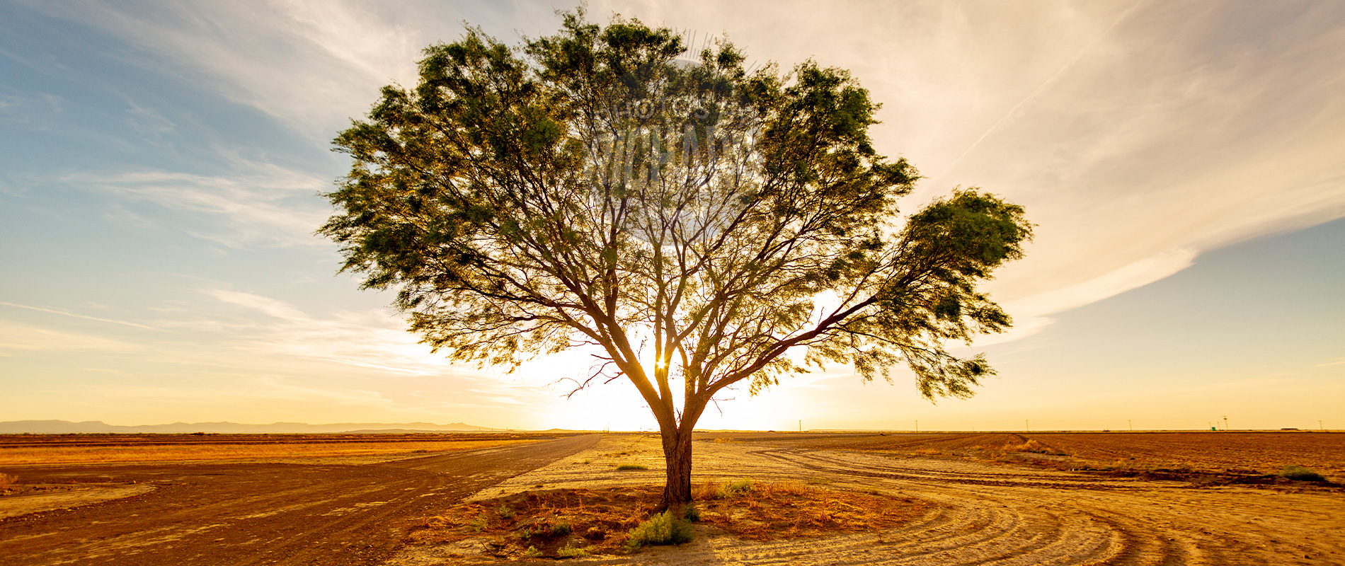 Photos by Richard - Photos by Richard